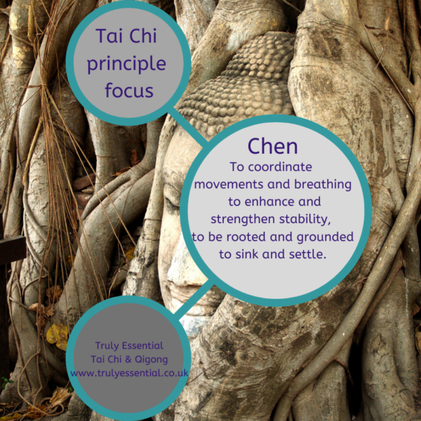 Tai Chi & Qigong – Truly Essential